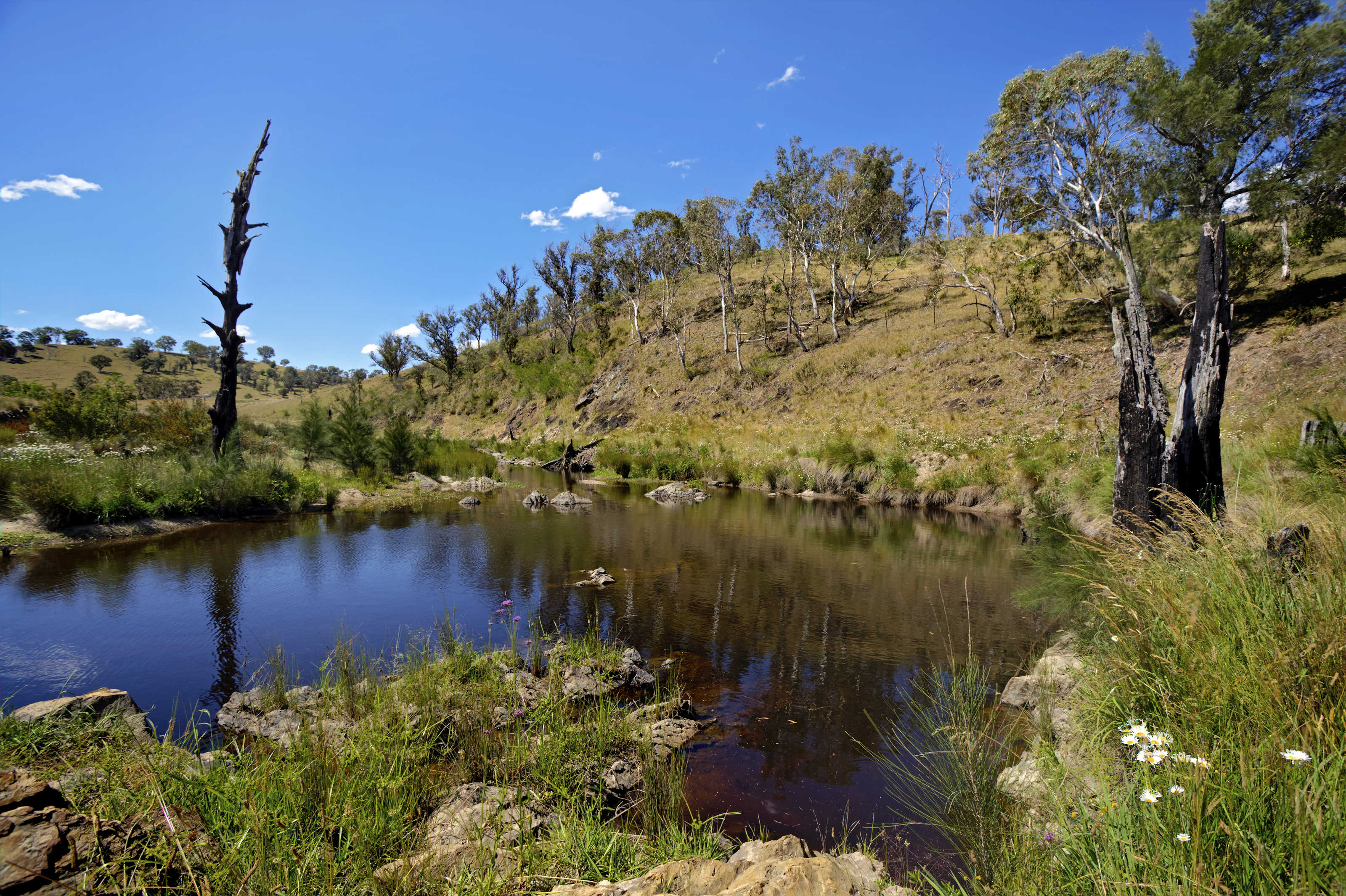 Gallery - Armidale's best family accommodation, Armidale Tourist Park