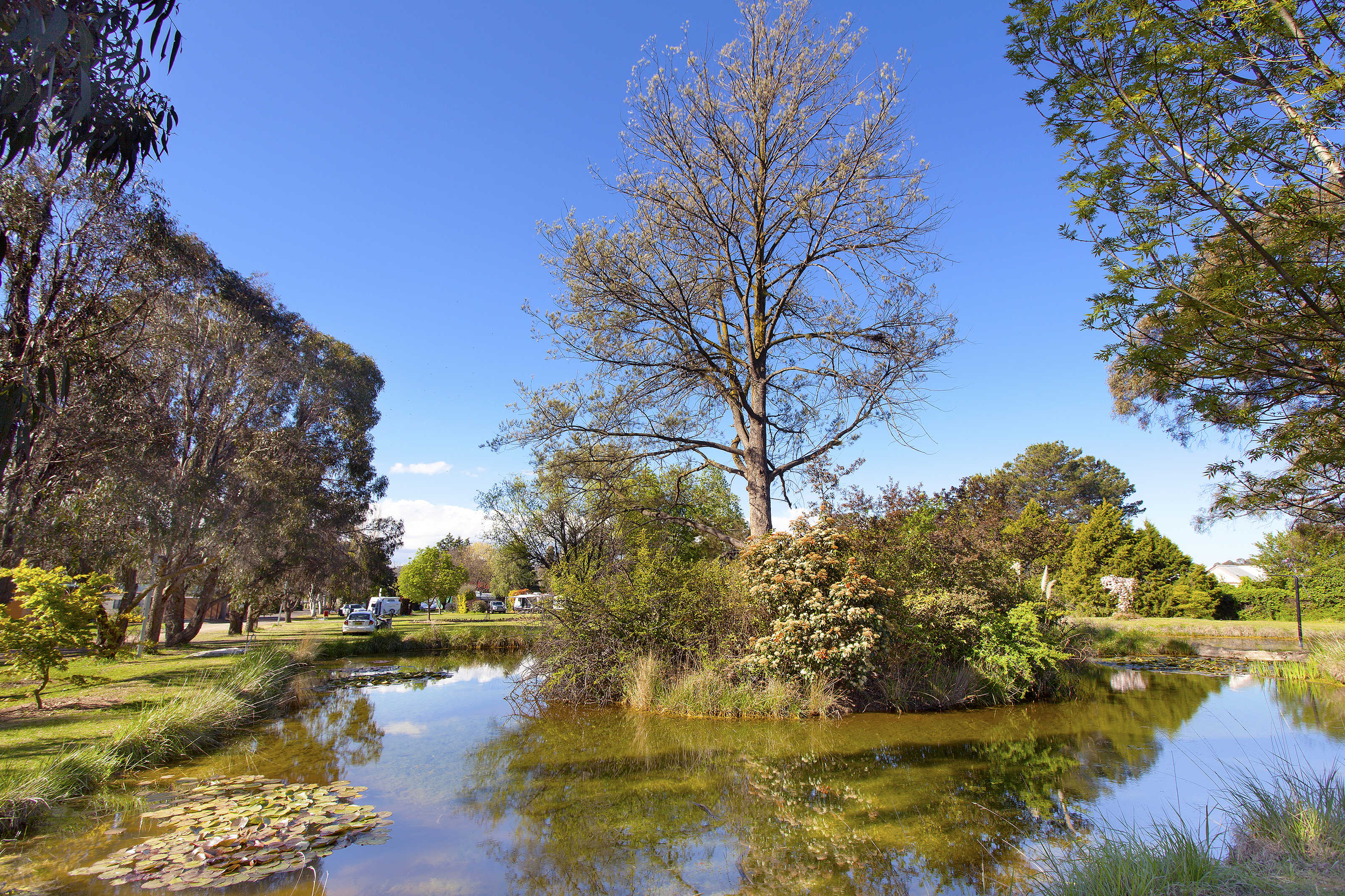 Caravanning and Camping at Armidale Tourist Park