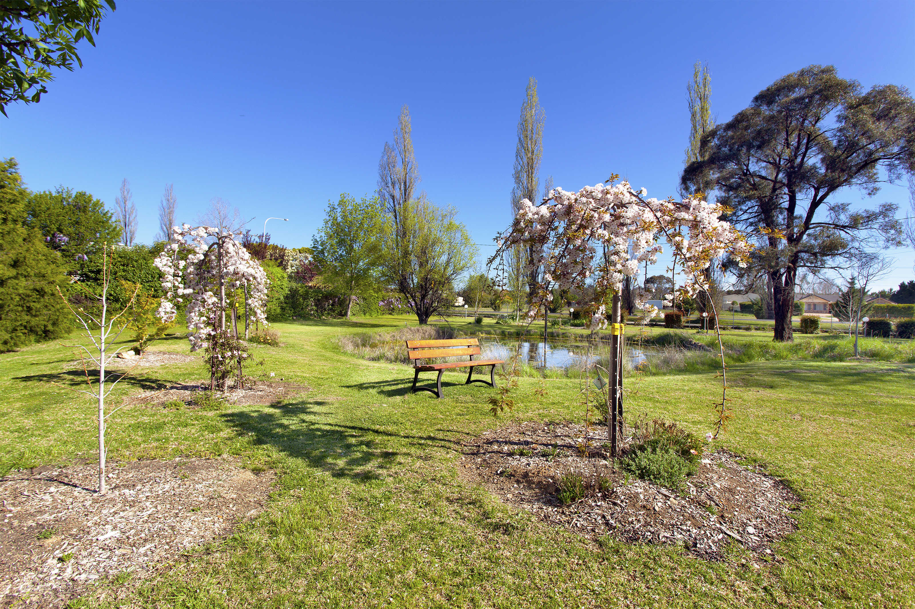 camping armidale tourist park - Armidale Tourist Park