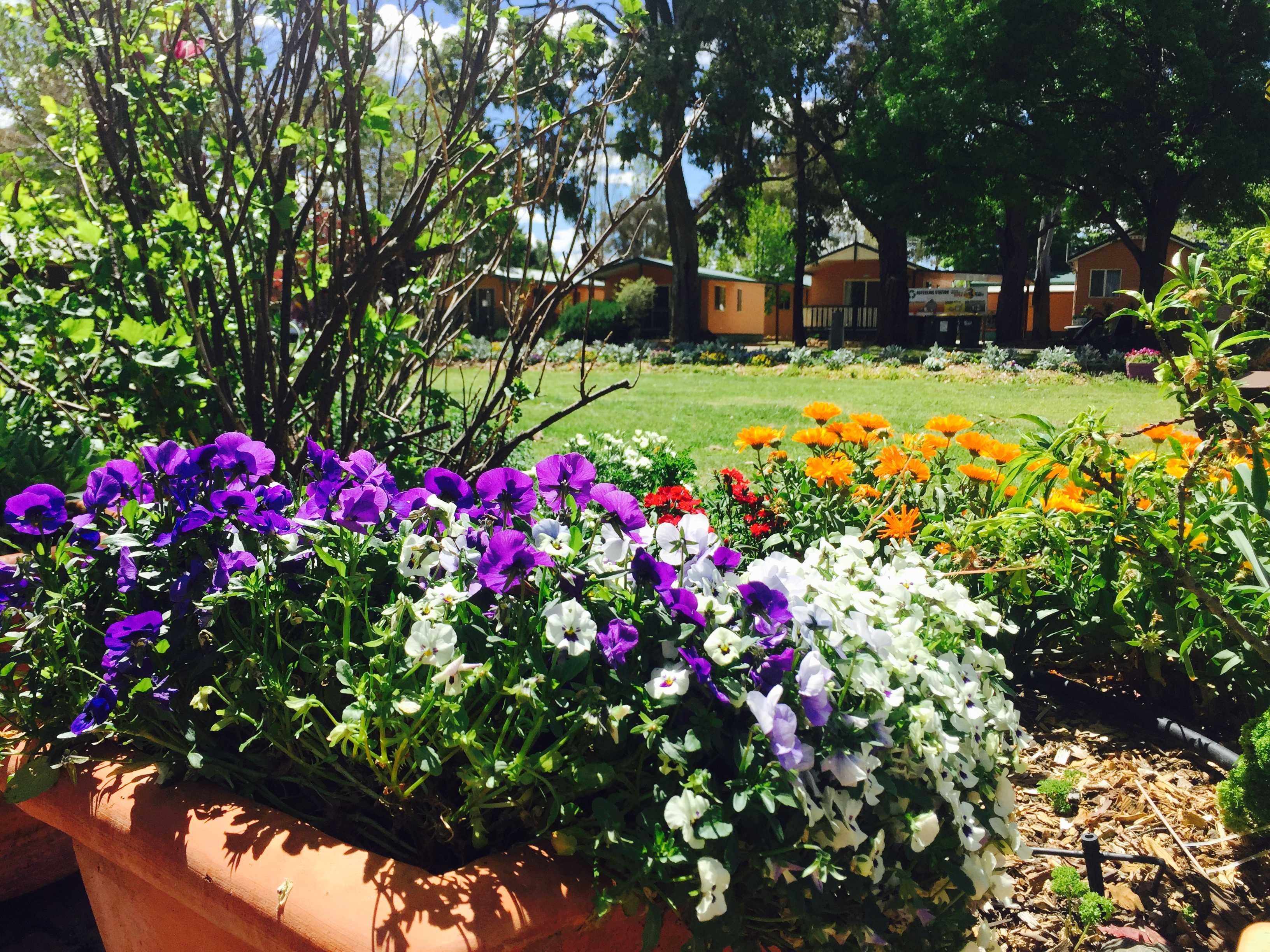 Gallery - Armidale's best family accommodation, Armidale Tourist Park